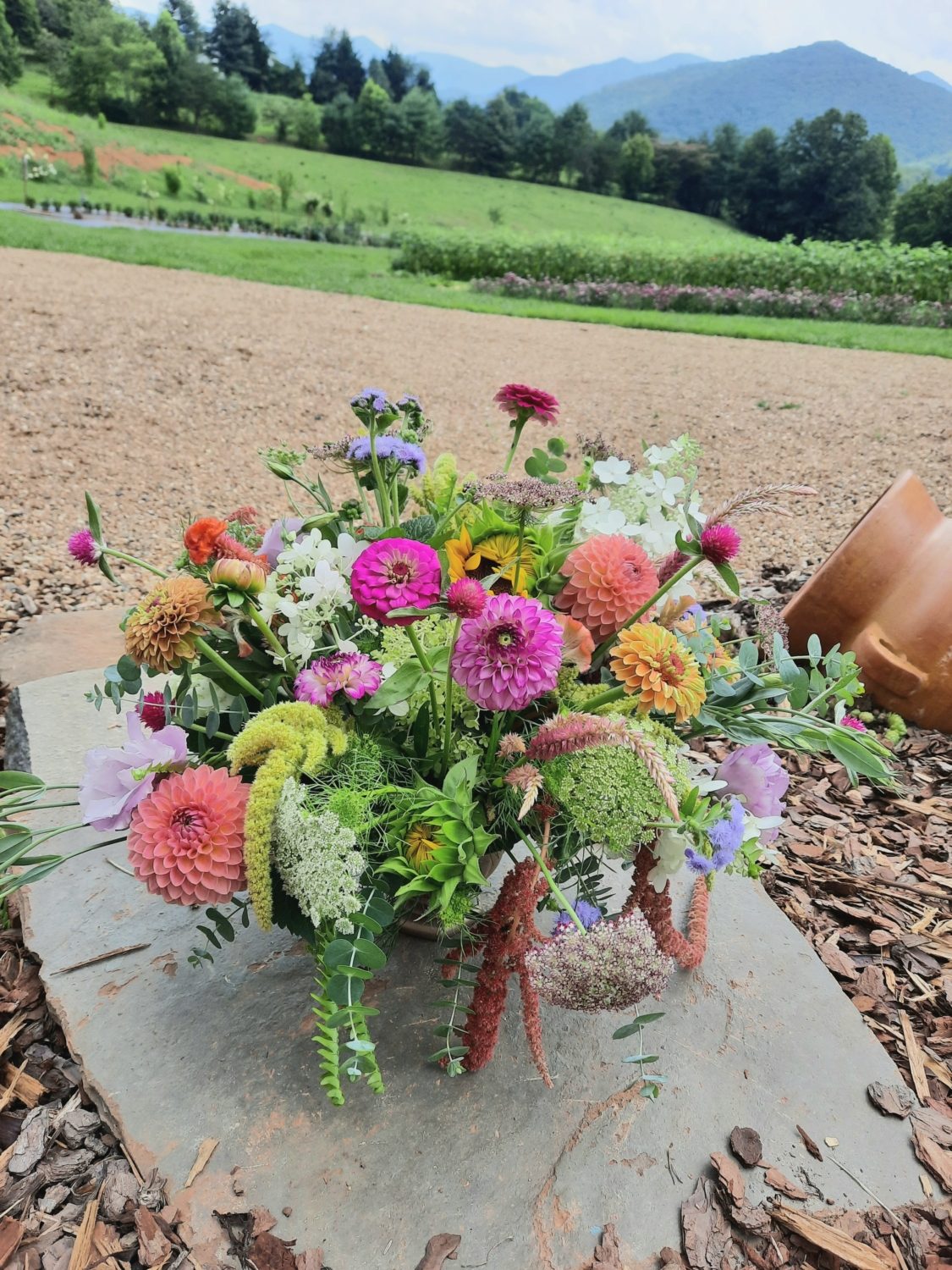 The Never Ending Flower Farm - Visit Weaverville